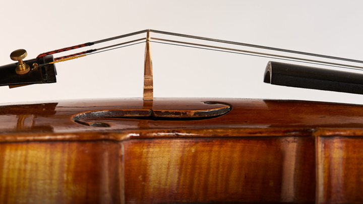 Quality Musical Instruments for Sale – Wilder & Davis